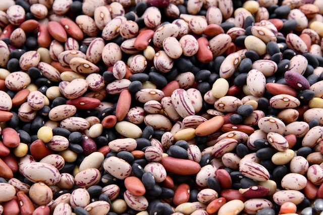Six More Weeks of Winter? Bean There, Done That. – Harmony House Foods
