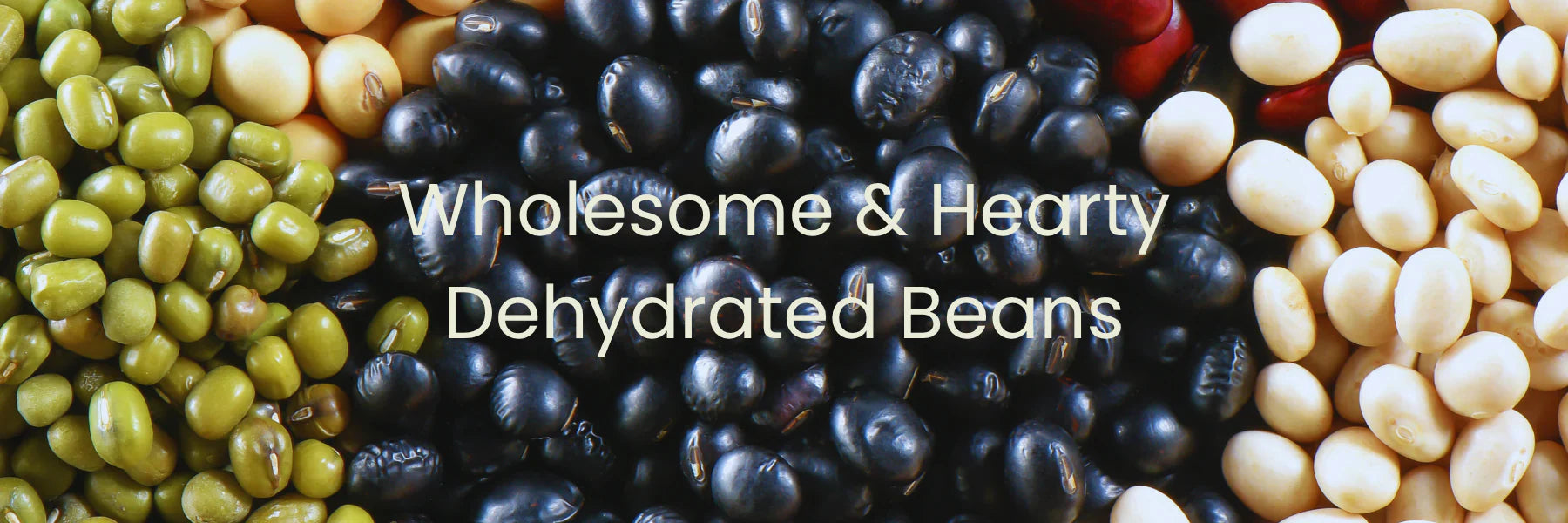 Dehydrated & Dried Beans | Dried Beans For Sale – Harmony House Foods